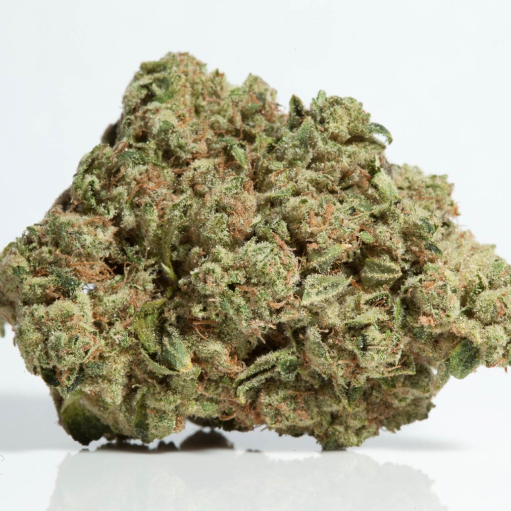 White Dawg Strain | Hybrid | Lightshade Dispensary
