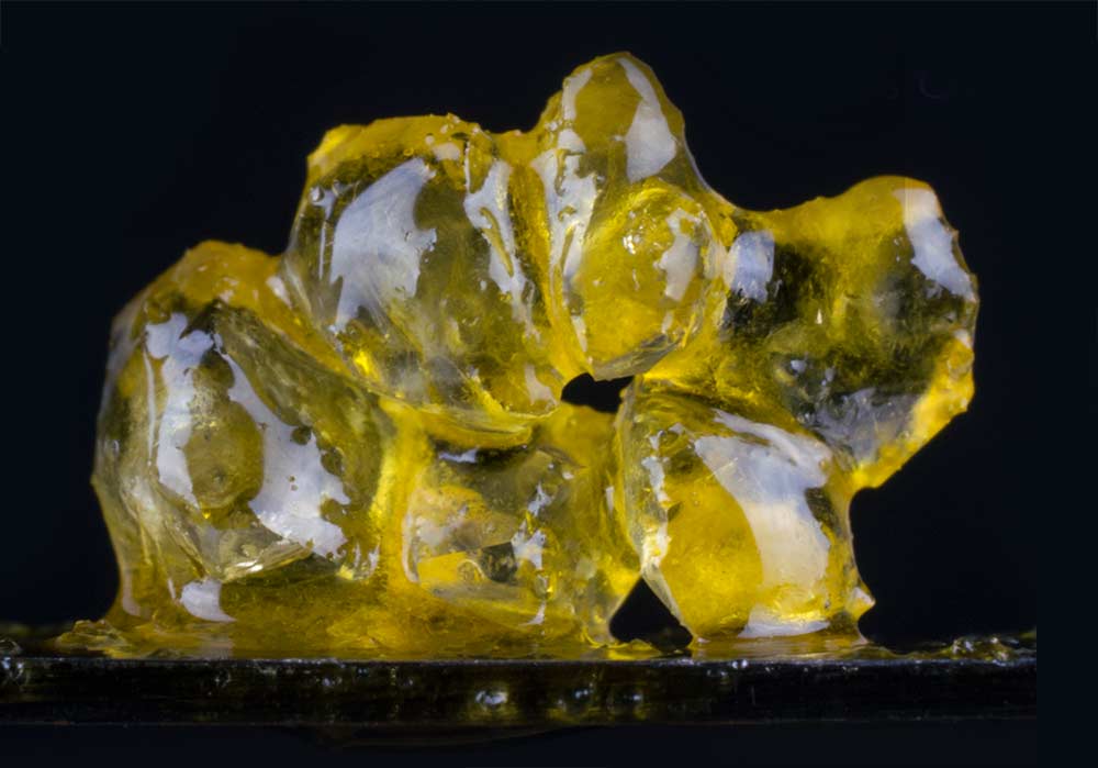 Harmony Extracts | Lightshade