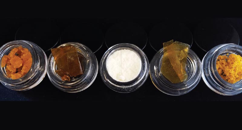 West Edison | Lightshade