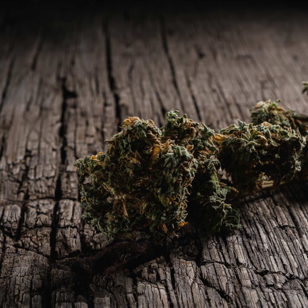 20 of the Best Weed Strains for the Holidays | Lightshade